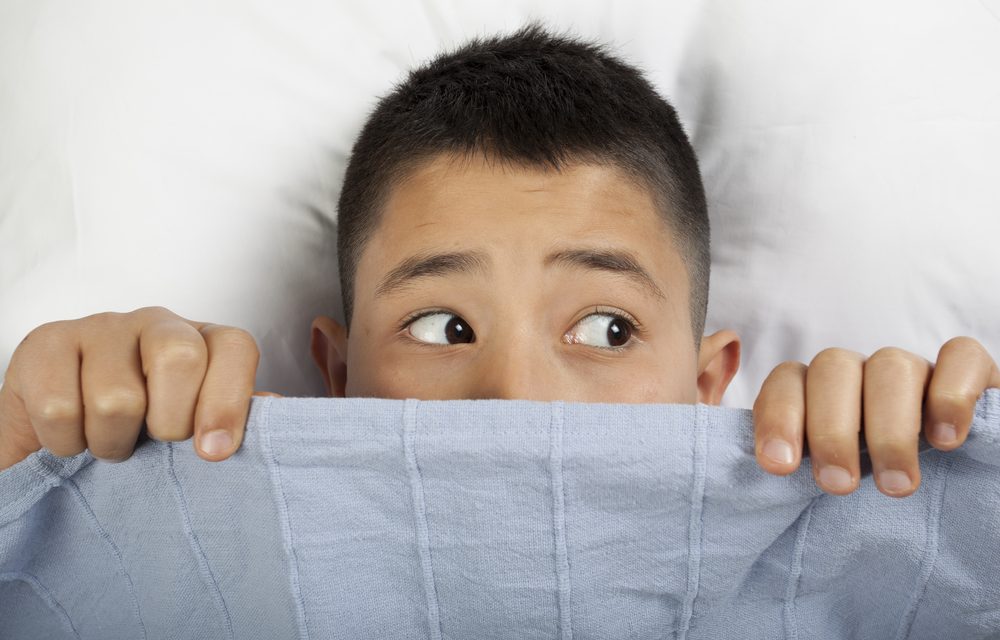 La nueva plaga del miedo, por Julián Ruiz Bujanda – Estella Noticias