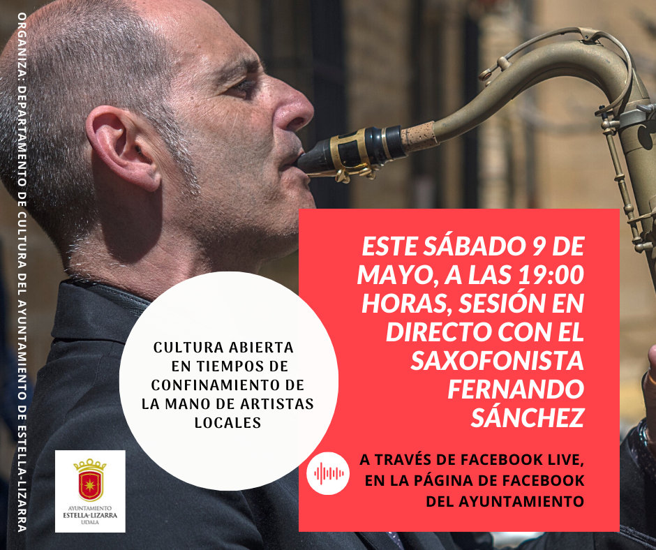 Este sábado Fernando Sánchez en concierto – Estella Noticias